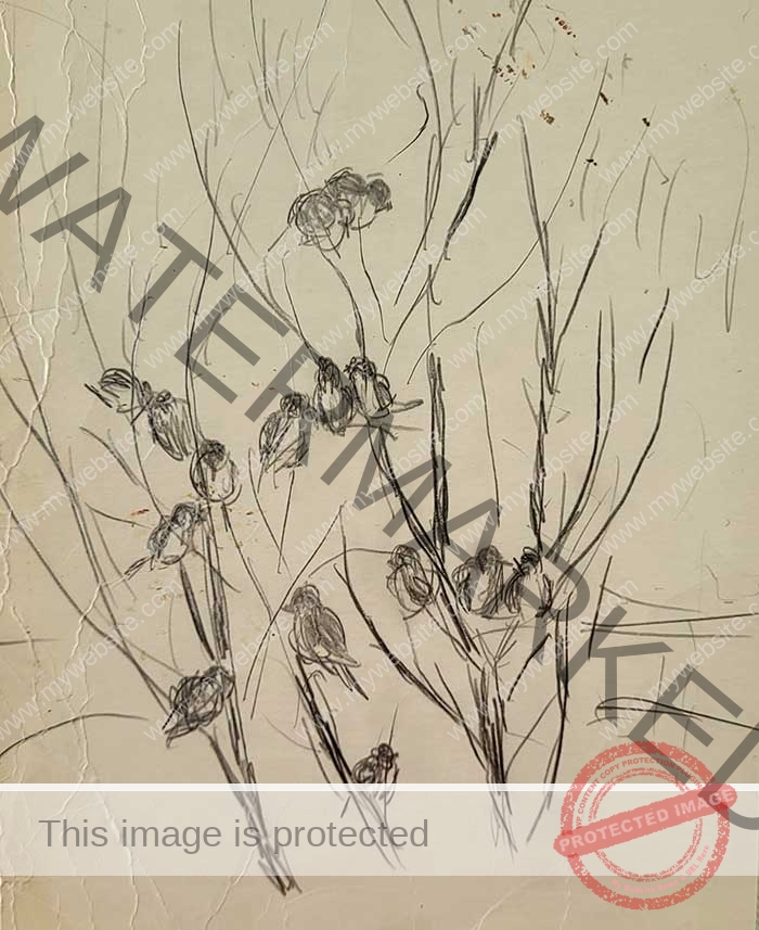 Rough Drafts and Sketches of Kathleen’s Most Recognisable Oil Paintings